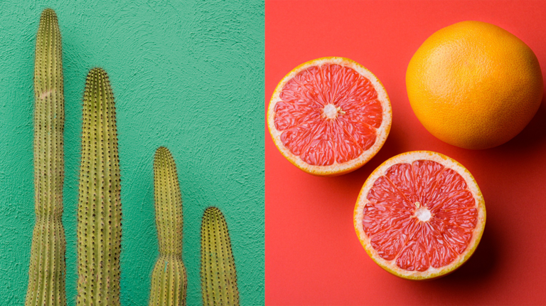 Your Guide to MLB Spring Training | DIRECTV Insider